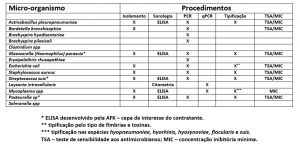 Bacteriologia e Diagnóstico Bacteriológico - AFK Imunotech